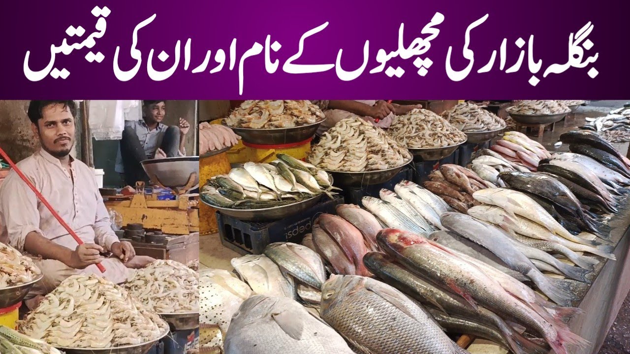 Karachi Fish Market Biggest Wholesale Market in Karachi Cheapest Rate ...