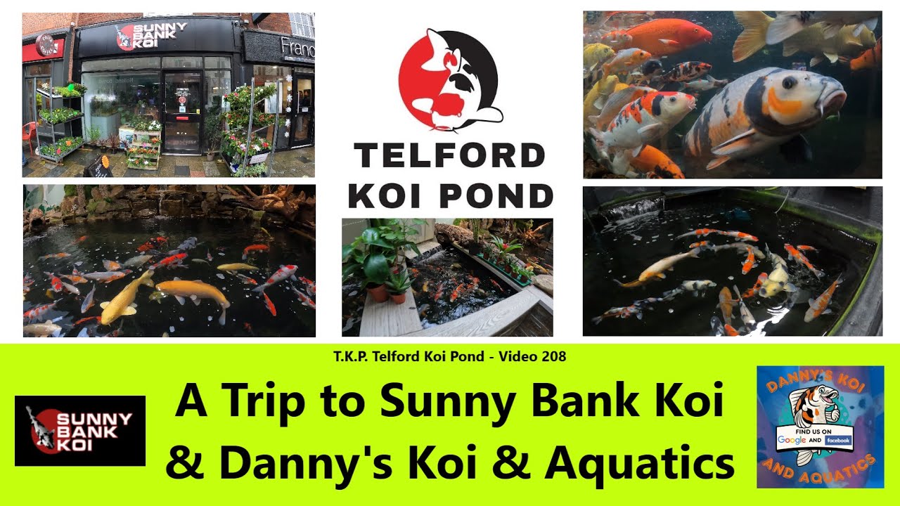 T.K.P. Telford Koi Pond - Video 208 - A Trip to Sunny Bank Koi & Danny ...