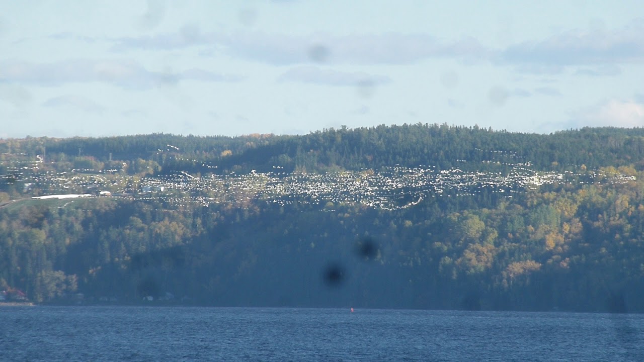 CLUB-MONADIRE.GE - კანადური თეთრი ბატი (Québec, Canada). - YouTube