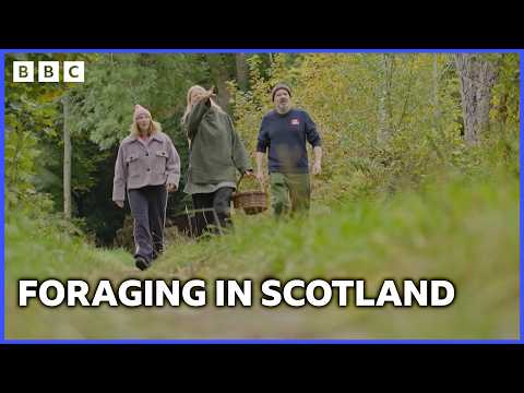 A Guide to Foraging in Scotland | Jules and Greg’s Wild Swim
