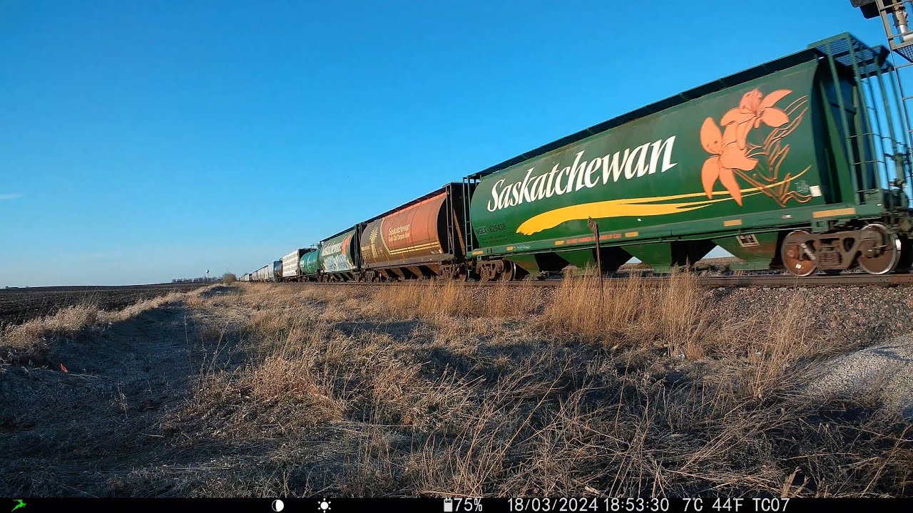 Southbound UP train with Saskatchewan grain hoppers on the Spine Line ...