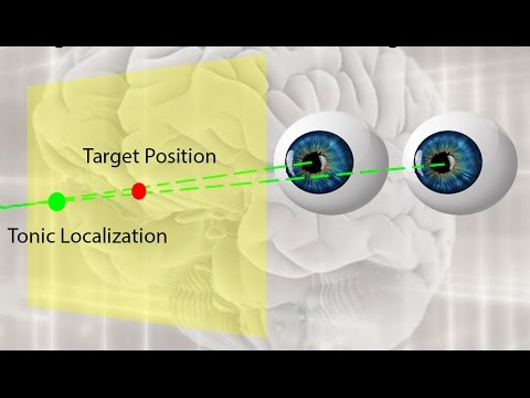 What is Phoria? - YouTube