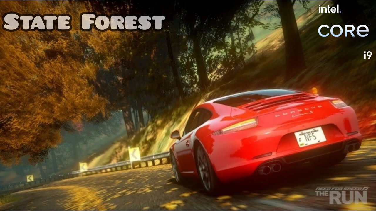 Stage 9 - State Forest | Need for Speed The Run - YouTube
