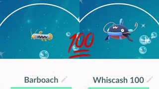 Barboach Evolution Chart