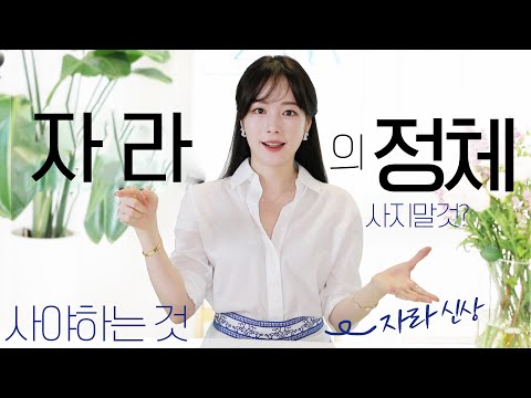 𝐙𝐀𝐑𝐀자라 신상 입은 채로 골라줄게요🛍알고 사자!