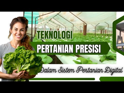 Teknologi Pertanian Presisi EXPERT Shares Top Tips for Efficient ...
