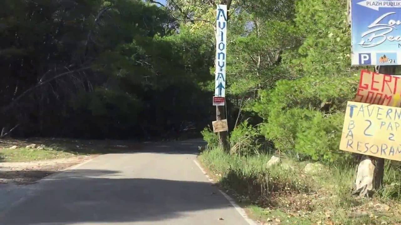 Pylli i sodes, vlore - YouTube