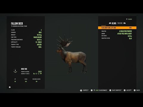GREAT ONE fallow number 7, Irish elk rack, golden - YouTube