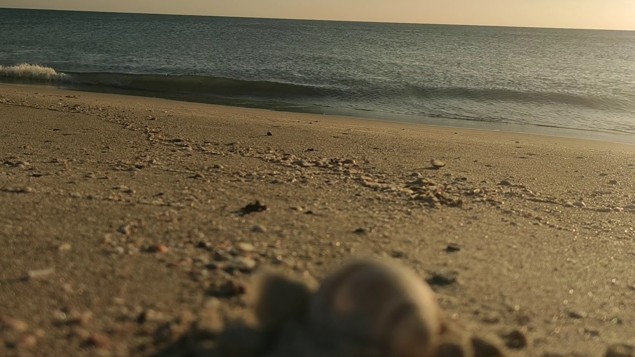 Relaxing beach view | Rameswaram | Dhanushkodi | #beach #beautiful # ...