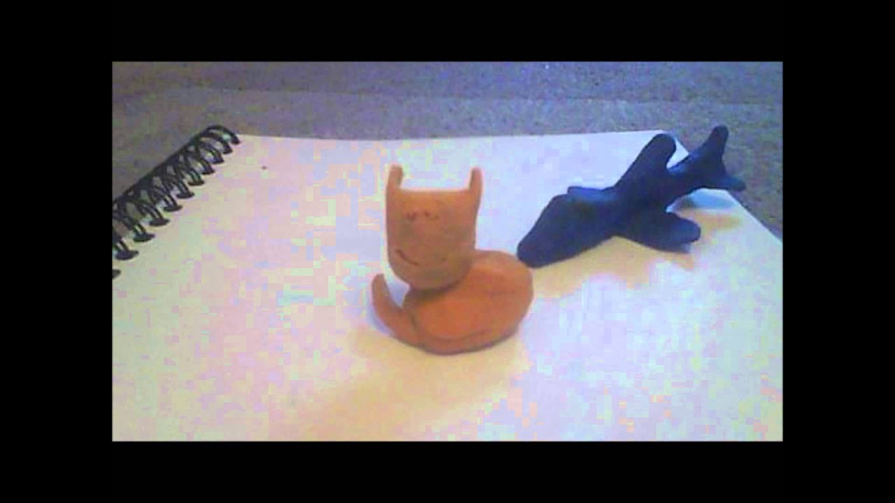 cat vs dolphin - YouTube