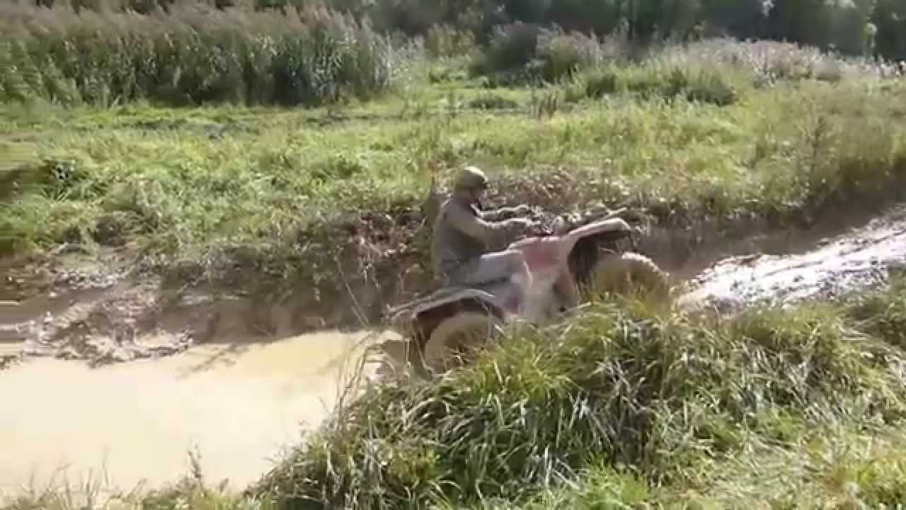 Bining 2015 Wildpigs Wild Pigs Quad ATV Freunde Schwarzwald - YouTube