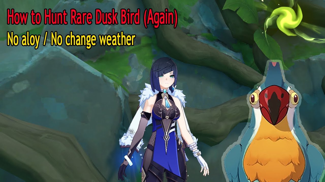 How to Hunt Rare Dusk Bird (Again) no Aloy / no change weather - YouTube