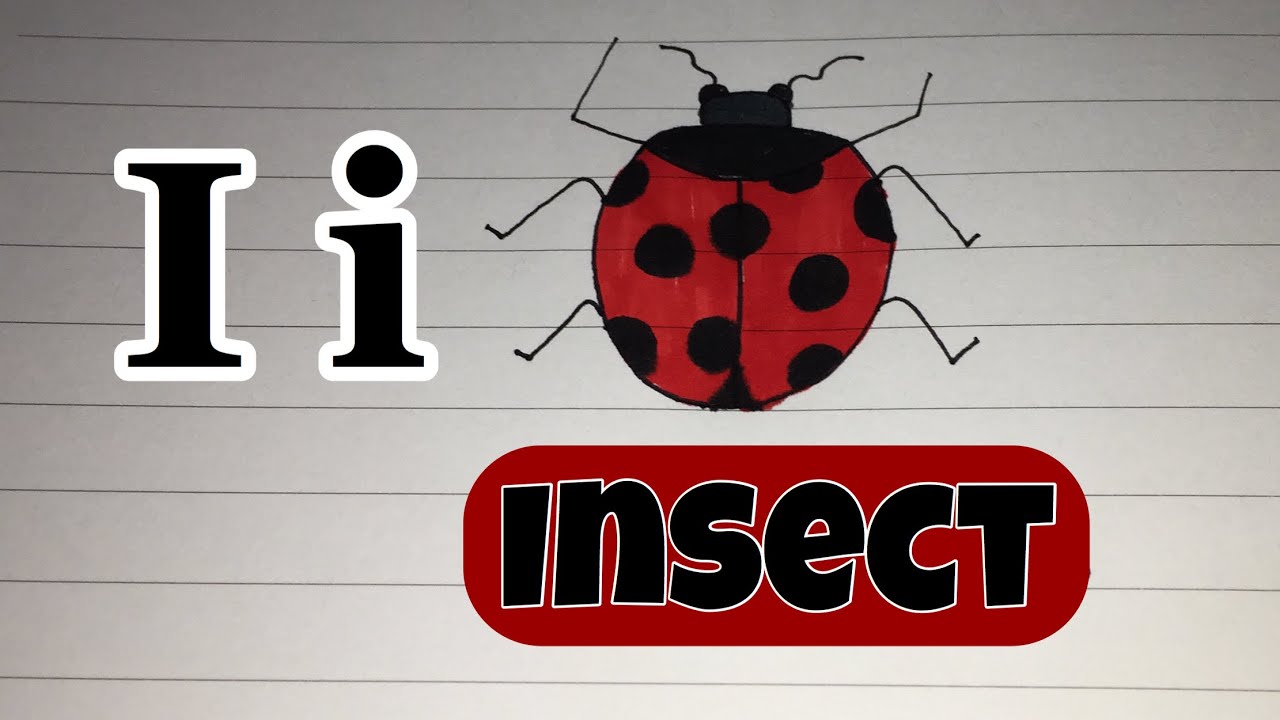 How To Draw An Insect | Alphabet Animal | Letter I - YouTube