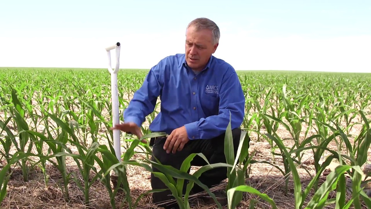 A Field Visit to Cronin Farms with Jay Fuhrer - YouTube