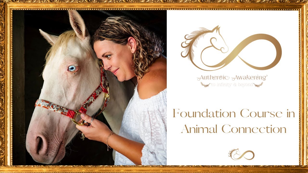 Animal Communication Foundation Course - YouTube