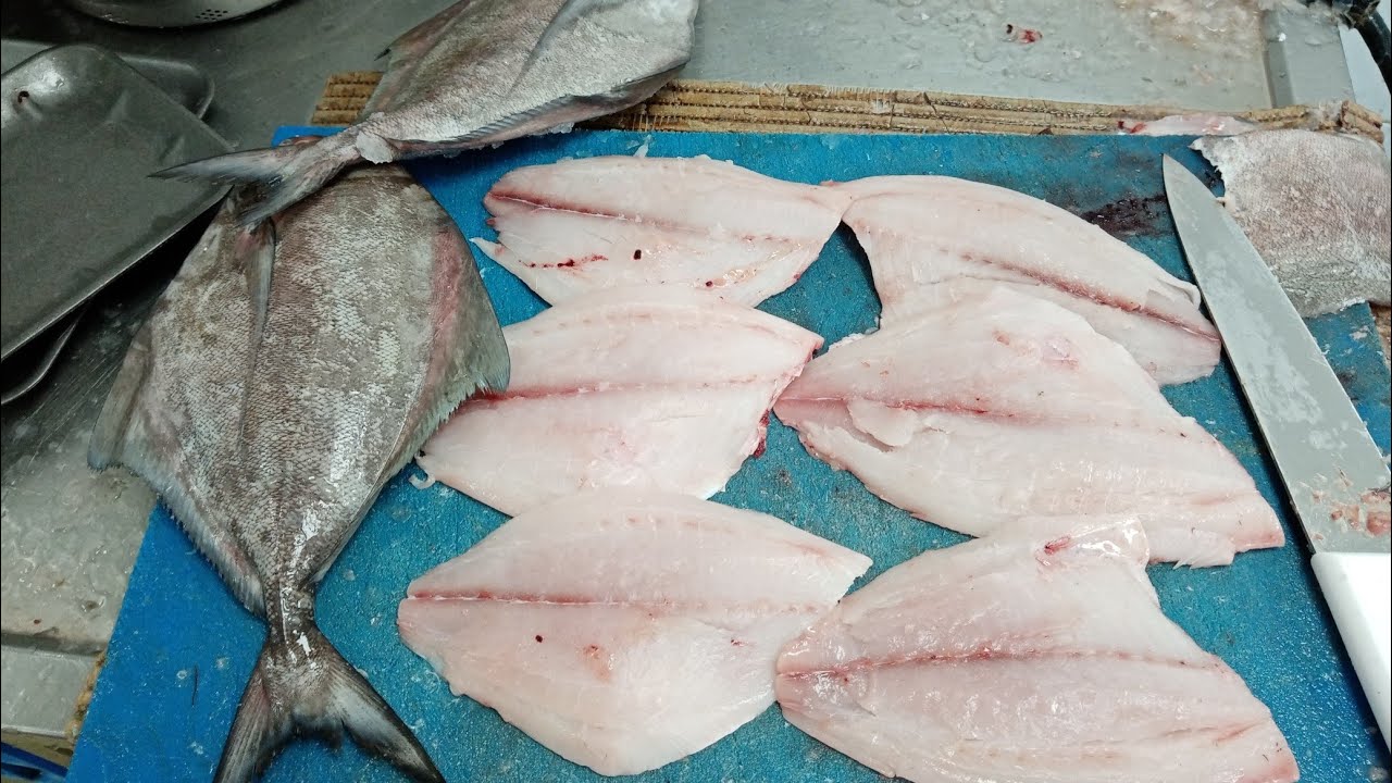 how to fillet black prompet fish by butchersnad - YouTube