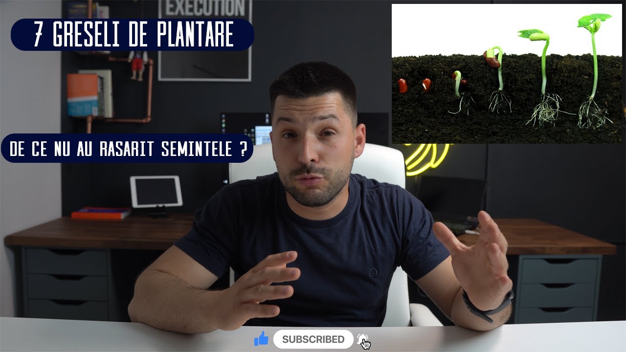 GERMINAREA/RASARIREA SEMINTELOR | CUM SA OBTII 100% RASARIRE - YouTube
