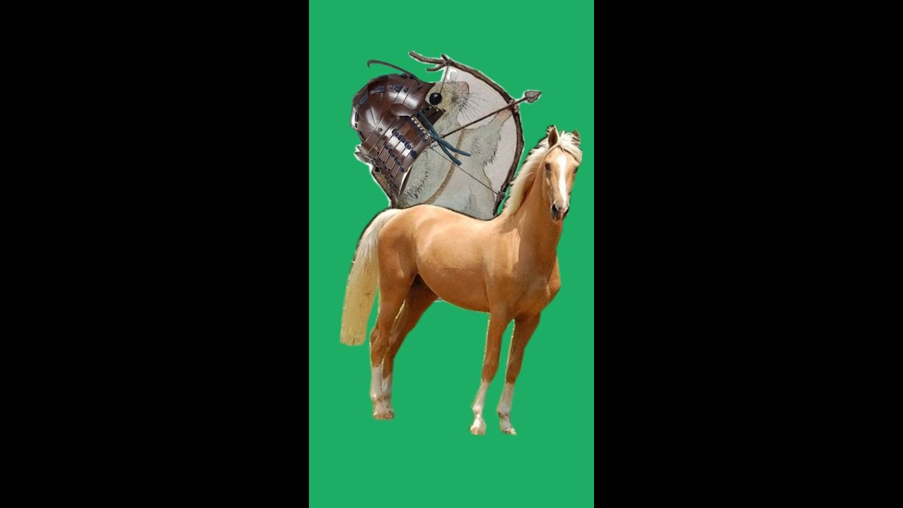 Typical Bow Cavalry Shogun 2 Experience - YouTube