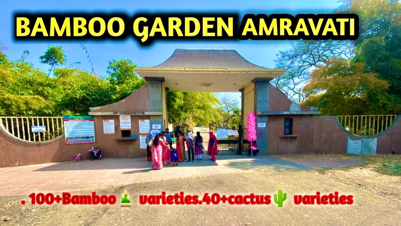 BAMBOO GARDEN AMRAVATI| INDIA'S FIRST BAMBOO GARDEN | BEST GARDEN ...