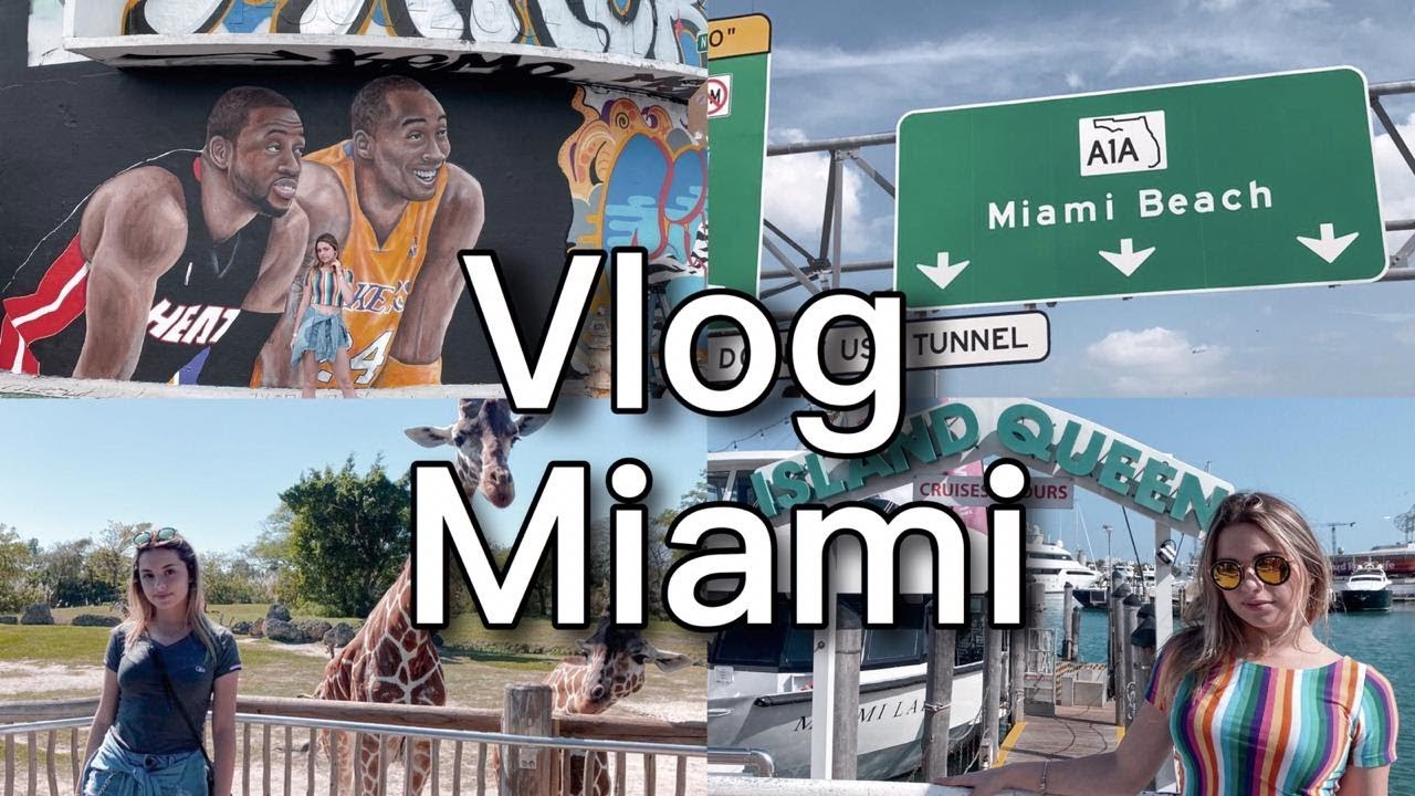 VLOG EM MIAMI - Ep 1 - YouTube