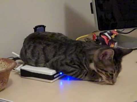 Minion and the Router - YouTube