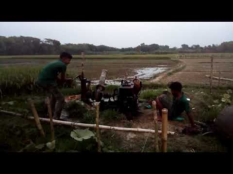 Two porba engle deange. channel beautiful bd