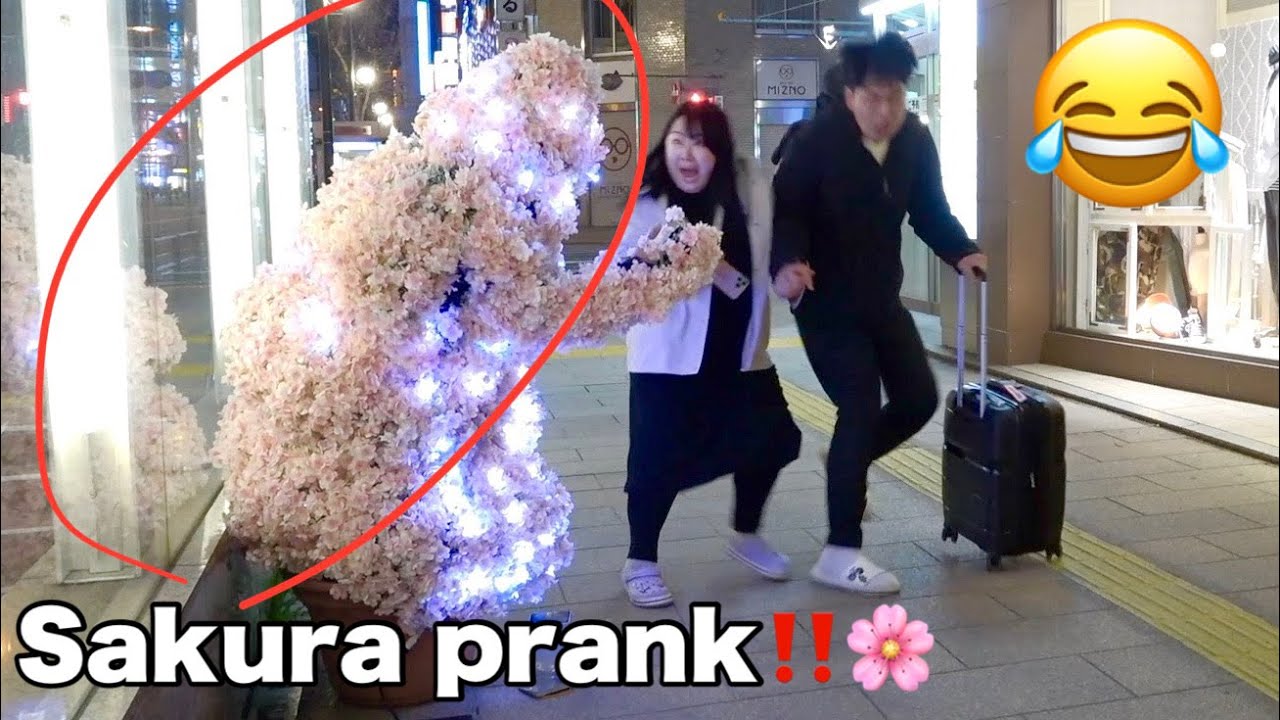 Bushman Japanese Reactions! Cherry blossom (Sakura) Pranks! Part1 🌸 ...