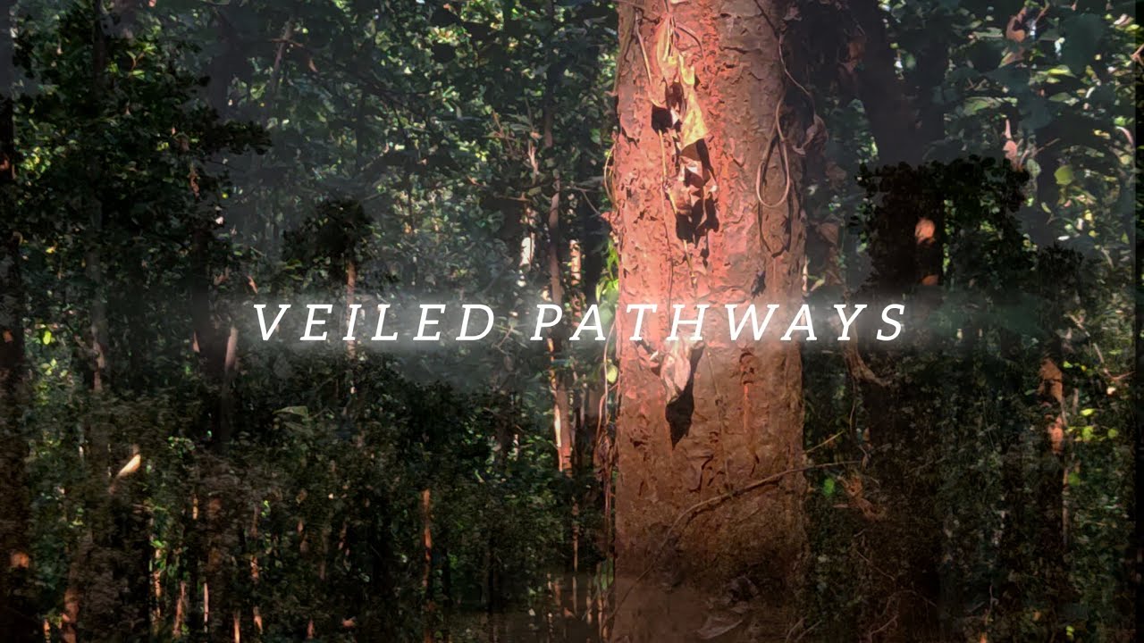 VEILED PATHWAYS - SHORT FILM | FOREST | HIKE #shortfilm - YouTube