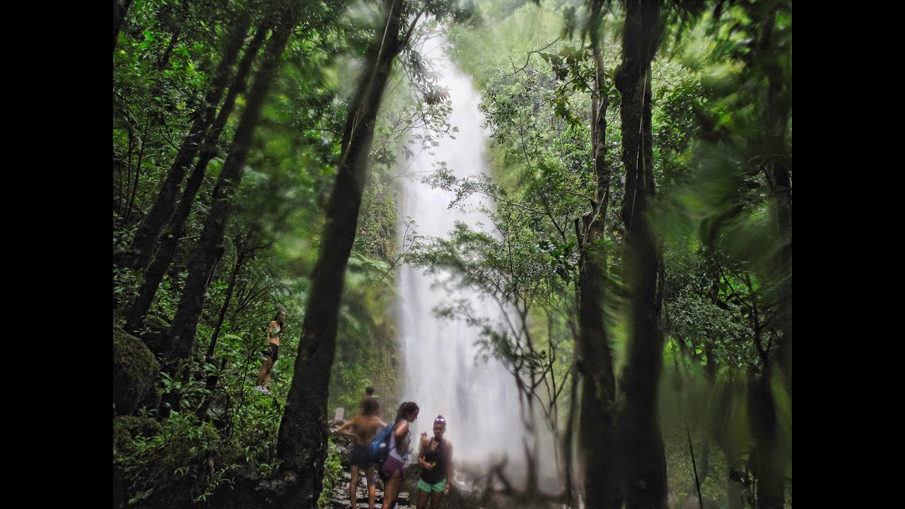 howzitboy hikes: Manoa falls flash flood - YouTube