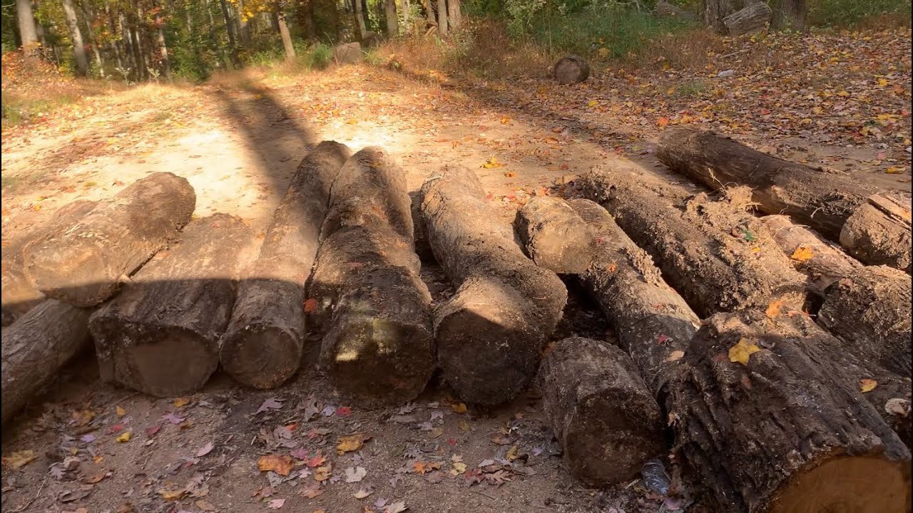 Digging up profit, wood yard cleanup. - YouTube