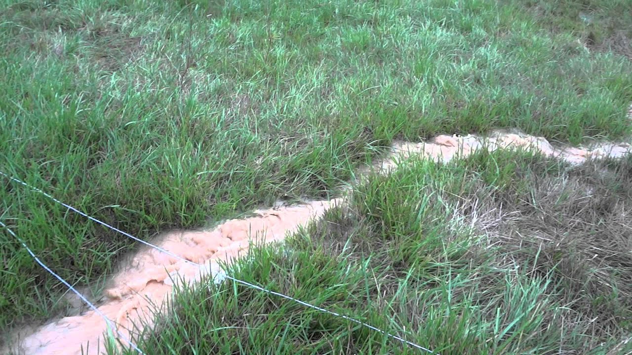 Ditch overflow to pond - YouTube