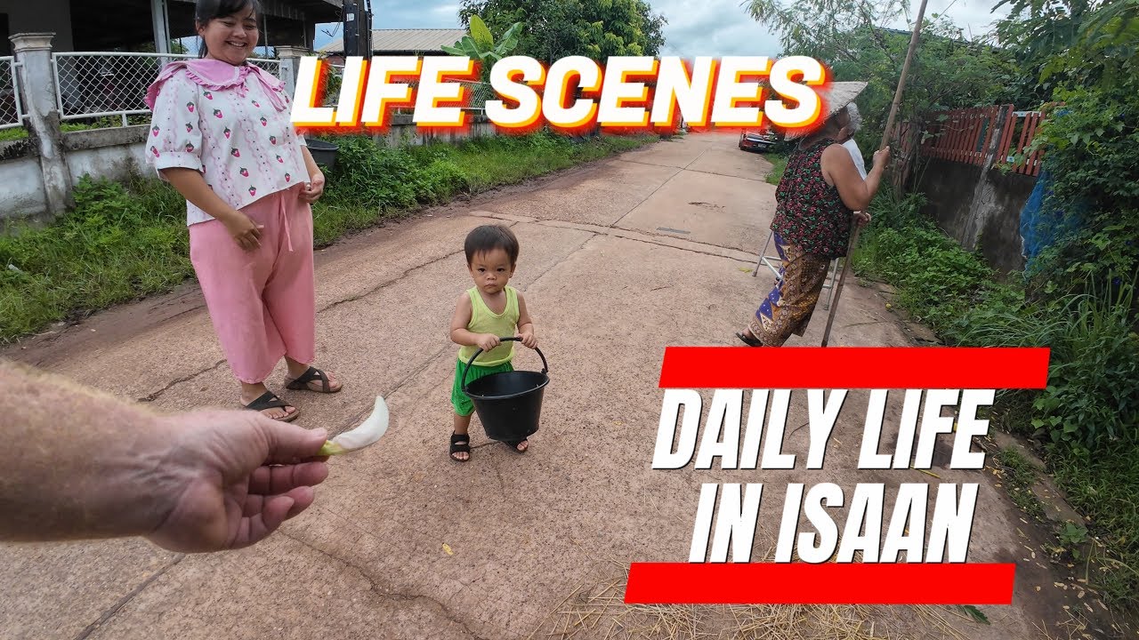 Daily life scenes in Isaan. - YouTube