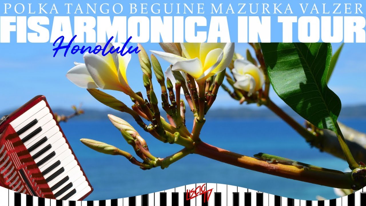 Fisarmonica in tour: Honolulu | Folk Liscio Aprile 2024 | Ballo Fisa ...
