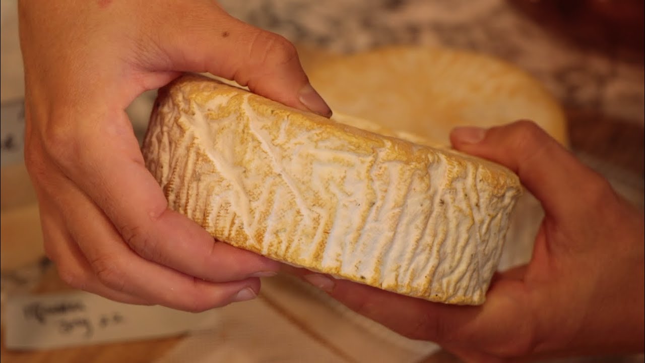 Affinage Cheese Talk with the Cheese Twins: Bleu, Camembert, Gouda, Dry ...