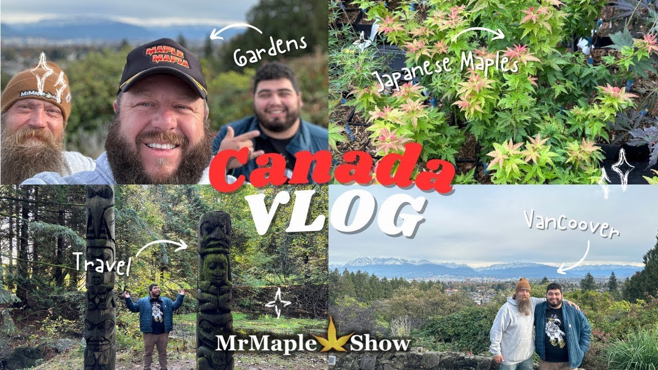 Canada Japanese Maple Tour! | Maple Society VLOG Part 3 - YouTube