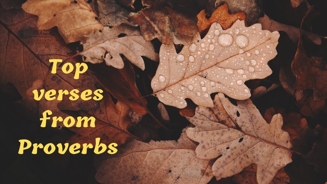 Verses for the day 24 - Top verses from Proverbs - - YouTube