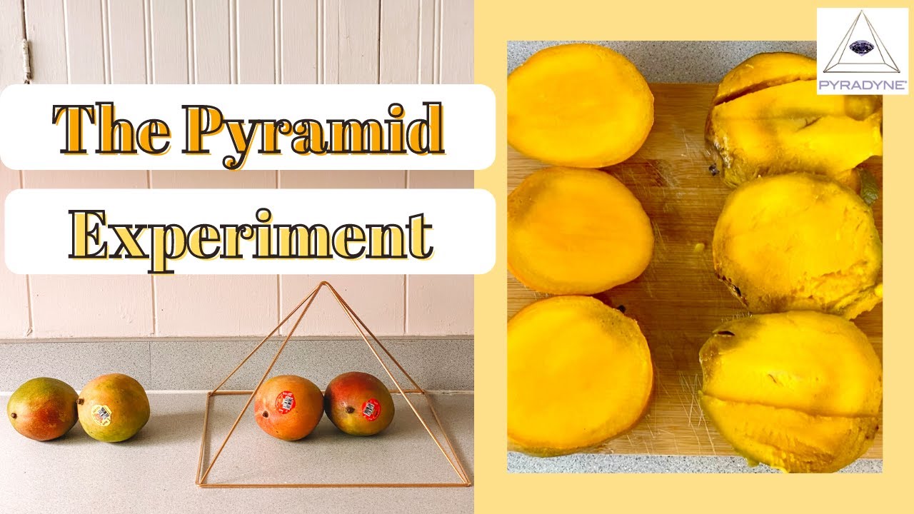 Preserving Mangoes With A Pyramid | 12 Day Pyramid Experiment ...