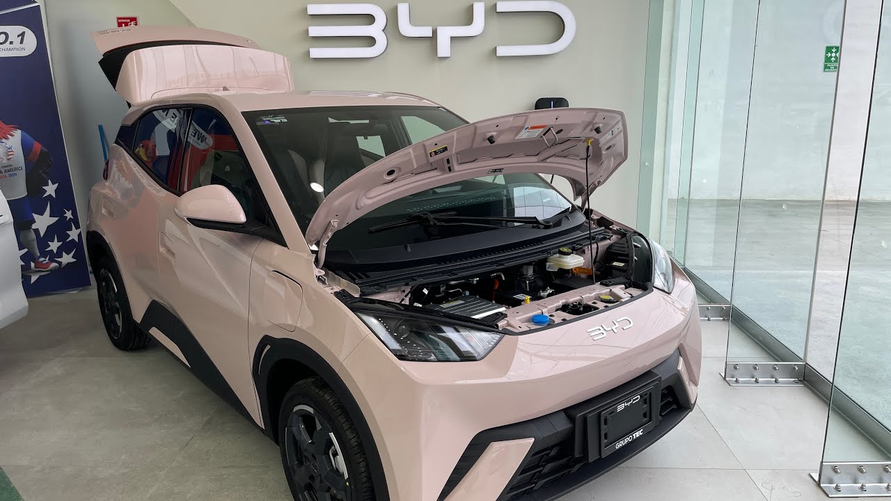 Get ready to fall in love with the cutest car on the road! BYD Mini ...
