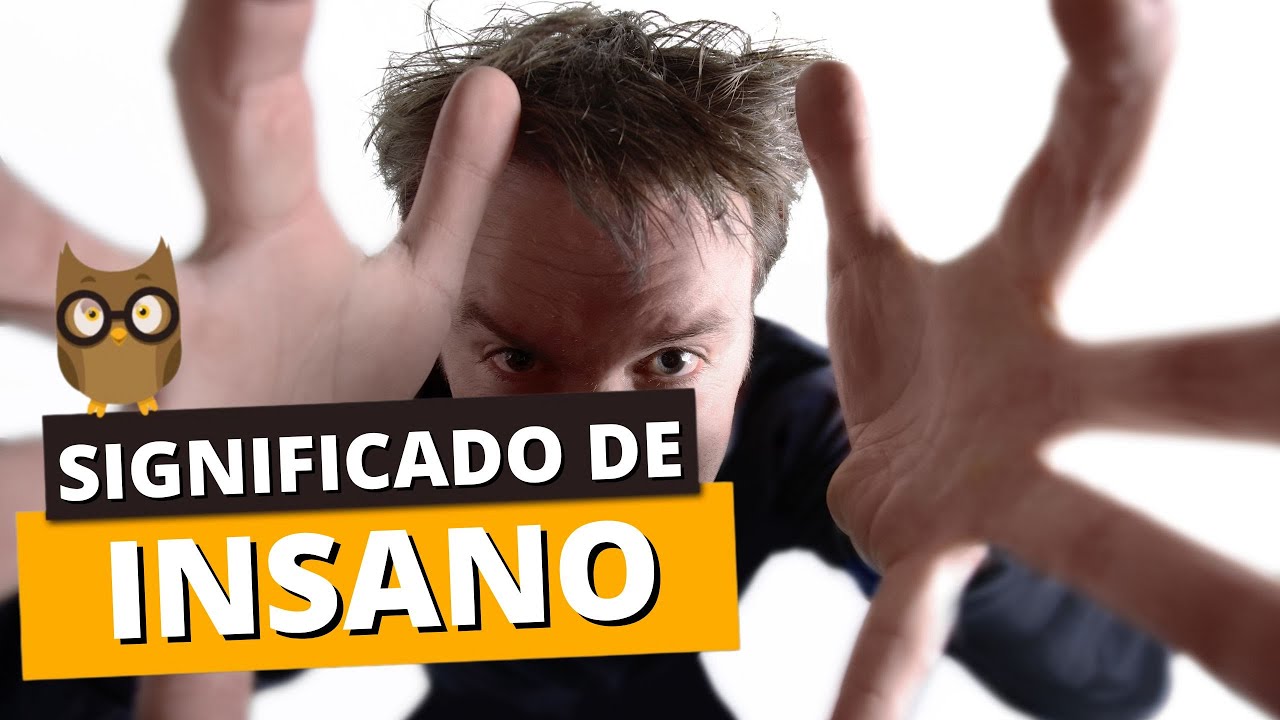 SIGNIFICADO DE INSANO: Você sabe o que é? - YouTube