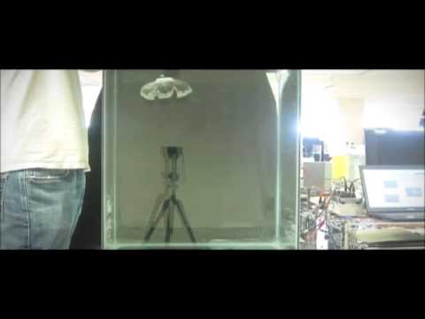 Hydrogen Fueled Robot JellyFish 'RoboJelly' - YouTube