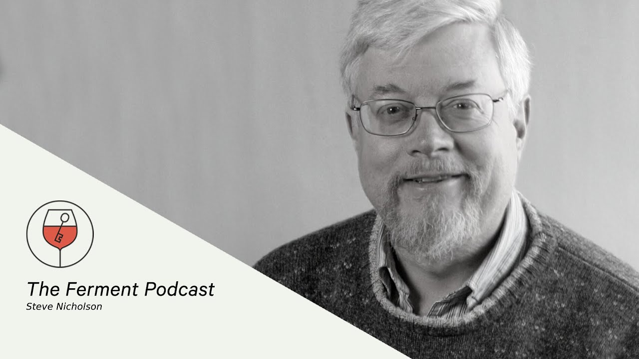 How To Lead A Vineyard Ministry Time - Steve Nicholson - YouTube