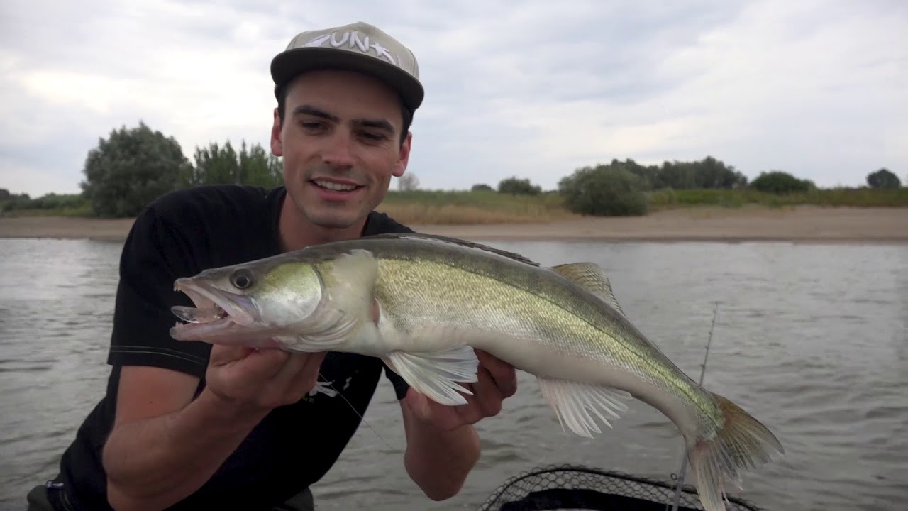 Fishing for Zander in the Summer - 3 Practical TIPS! - YouTube