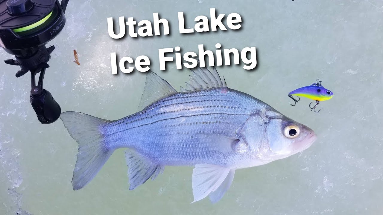 Utah Lake Ice Fishing 2020-21 Ice Season - YouTube