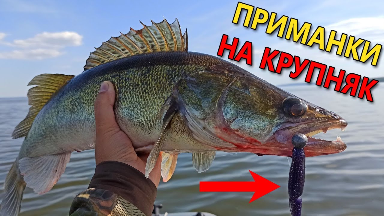 НА ЭТО КЛЮЮТ ТОЛЬКО КРУПНЫЕ СУДАКИ! Ловля судака на джиг 2020. Рыбалка ...