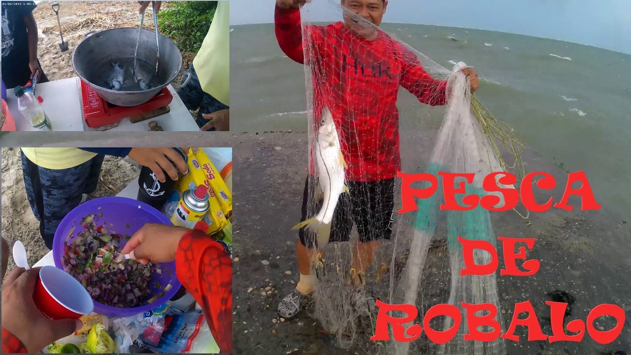 PESCA CON ATARRAYA DE ROBALO Y MOJARRAS EN MUELLE FRONTERA. CEVICHAZO Y ...