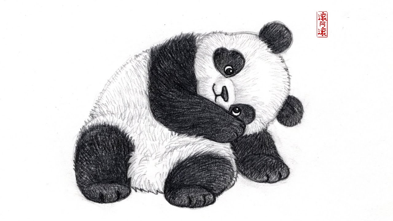 Challenge to draw panda 365 day ｜Day 68｜pencil sketch - YouTube