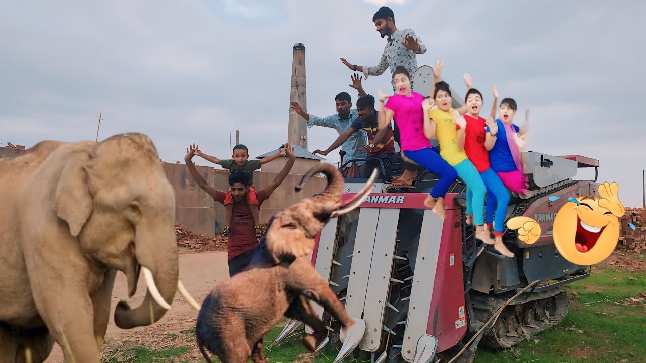 Must Watch New Special Comedy Video 2024 😎Totally Amazing Comedy ...