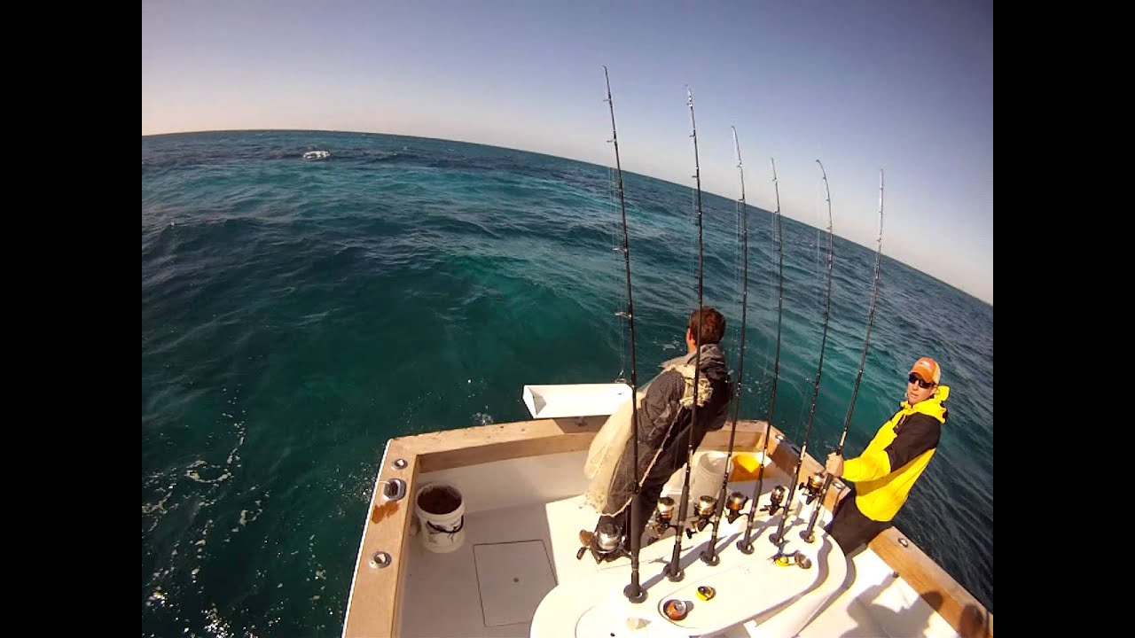 Catching Ballyhoo | Islamorada & Florida Keys Fishing Trips & Charters ...