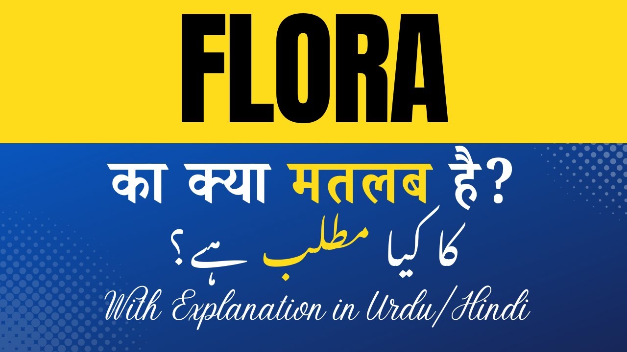 Flora Meaning in Hindi | 'Flora Ka Kya Matlab Hota Hai' Hindi/Urdu Explanation Included - YouTube