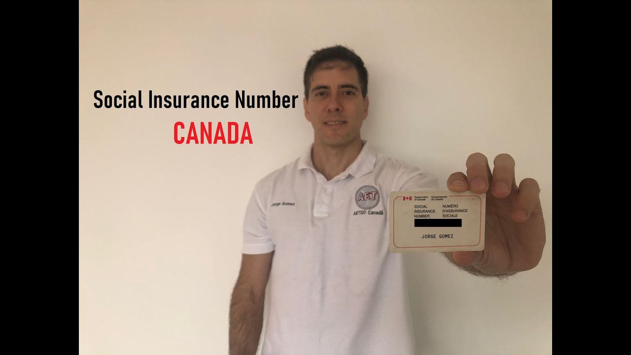 Newcomers See How To Get Online Your SIN Number Canada YouTube newcomers-see-how-to-get-online-your-sin-number-canada-youtube